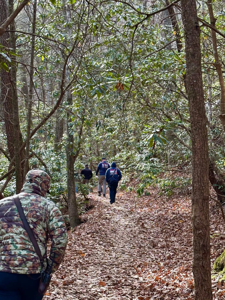 Law school professor goes missing on hike in north Ga.