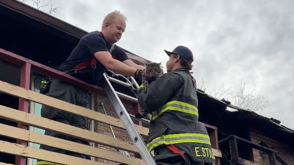 Apartment fire west of Denver displaces 30 people; Started by ...
