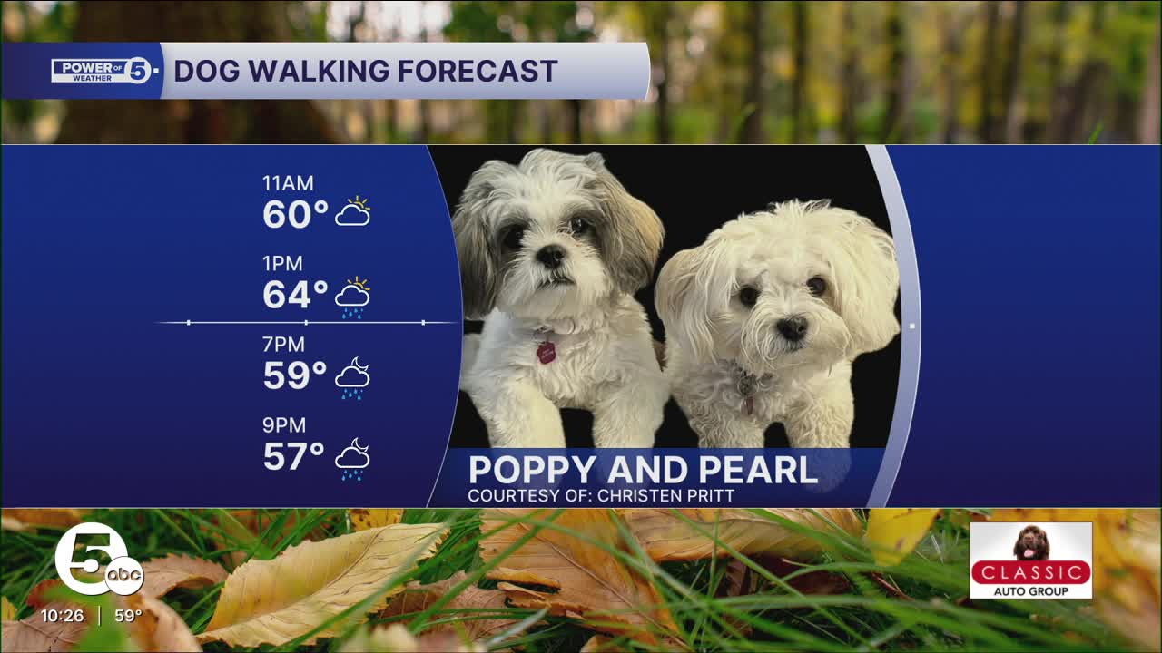 DOG WALKING FORECAST: Warm and windy today with a couple storms