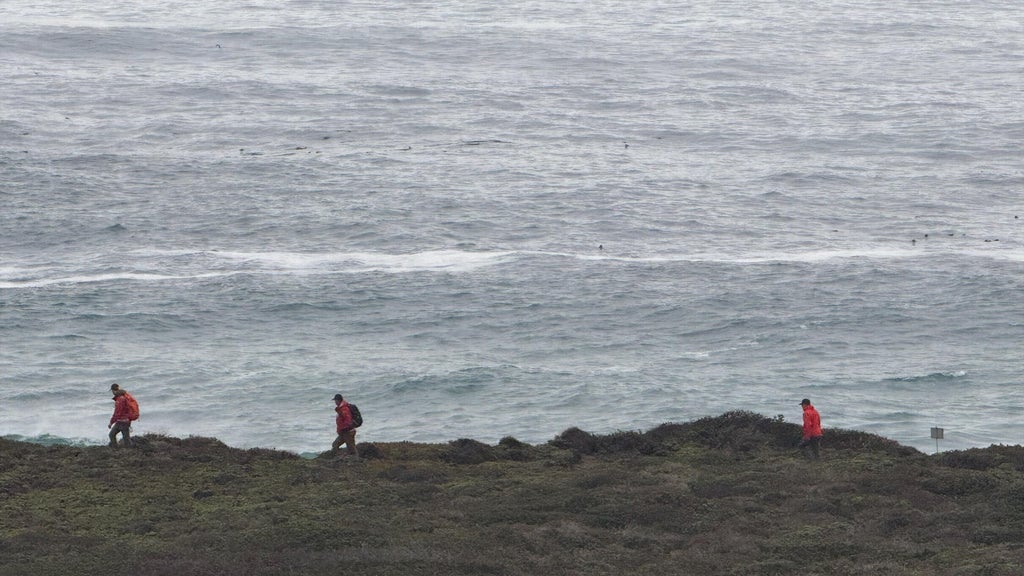 Body of 7-year-old girl swept into ocean near Big Sur coast recovered