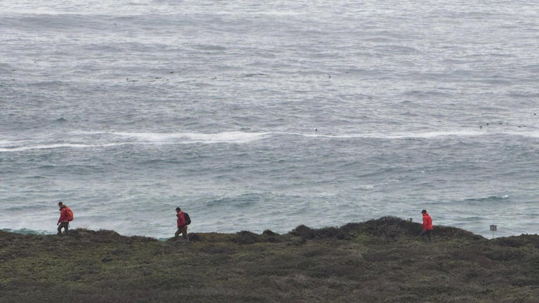 Search continues for girl after she was pulled into ocean near Big Sur ...