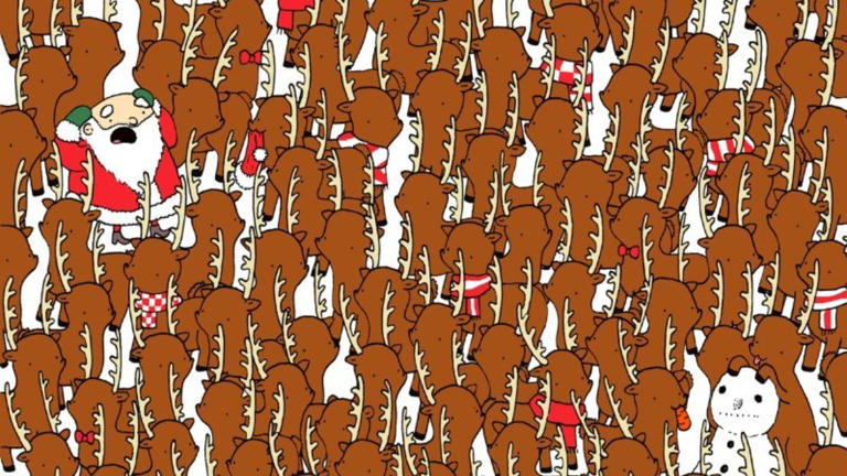 Challenge Your Observation Skills! Can You Spot A Rudolph Hidden ...