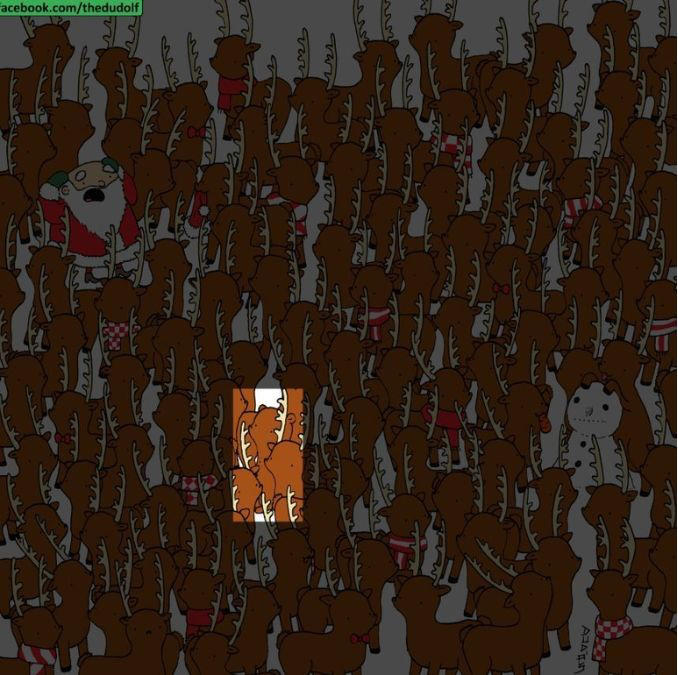 Challenge Your Observation Skills! Can You Spot A Rudolph Hidden ...