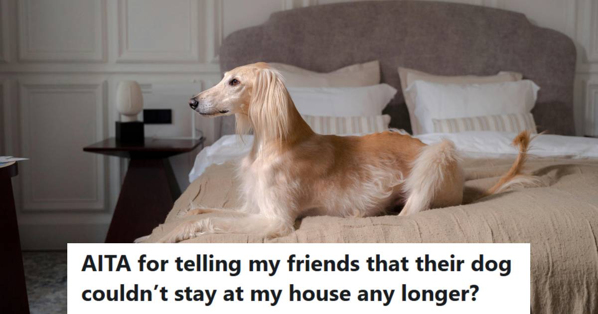Woman Agreed To Watch Her Friends’ Dog For A Week, But After Sleepless ...