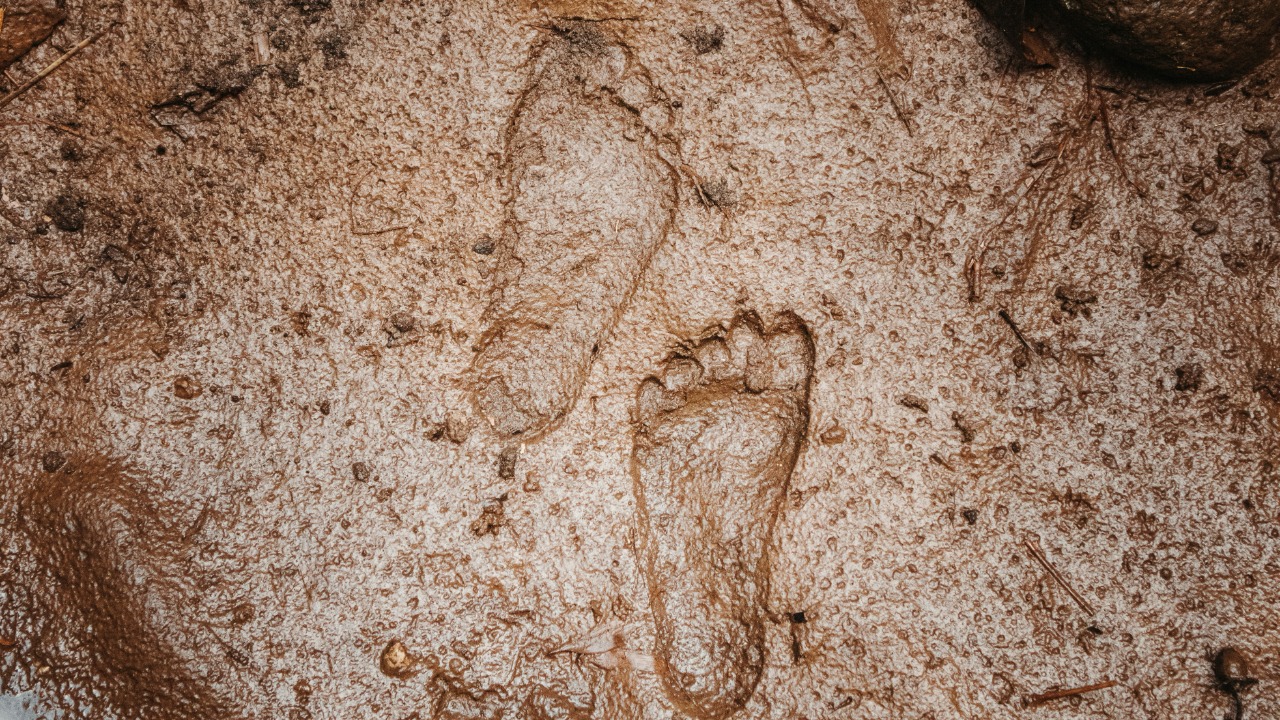 New Neanderthal footprints in Portugal reveal unexpected lives