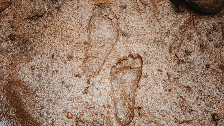 New Neanderthal footprints in Portugal reveal unexpected lives