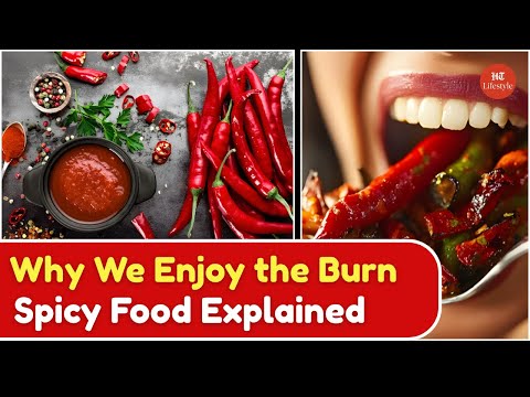 Why Humans Love Spicy Food The Surprising Science Behind the Burn