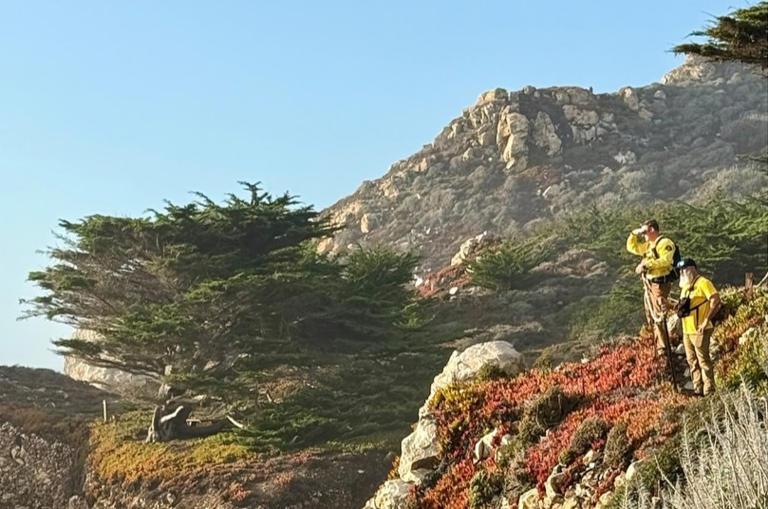 Search called off for 5-year-old caught in strong surf along California ...