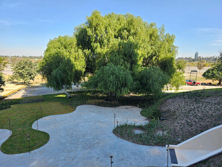 Museo Jorge Vergara: El primer espacio de arte contemporáneo dentro de ...