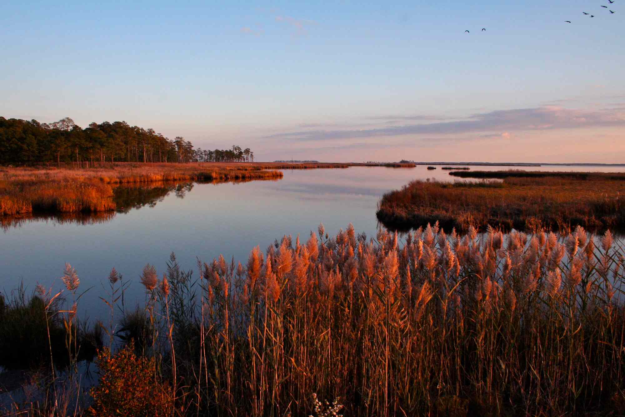 This Small Town in Maryland Is the Perfect Late Fall Getaway—and It's ...