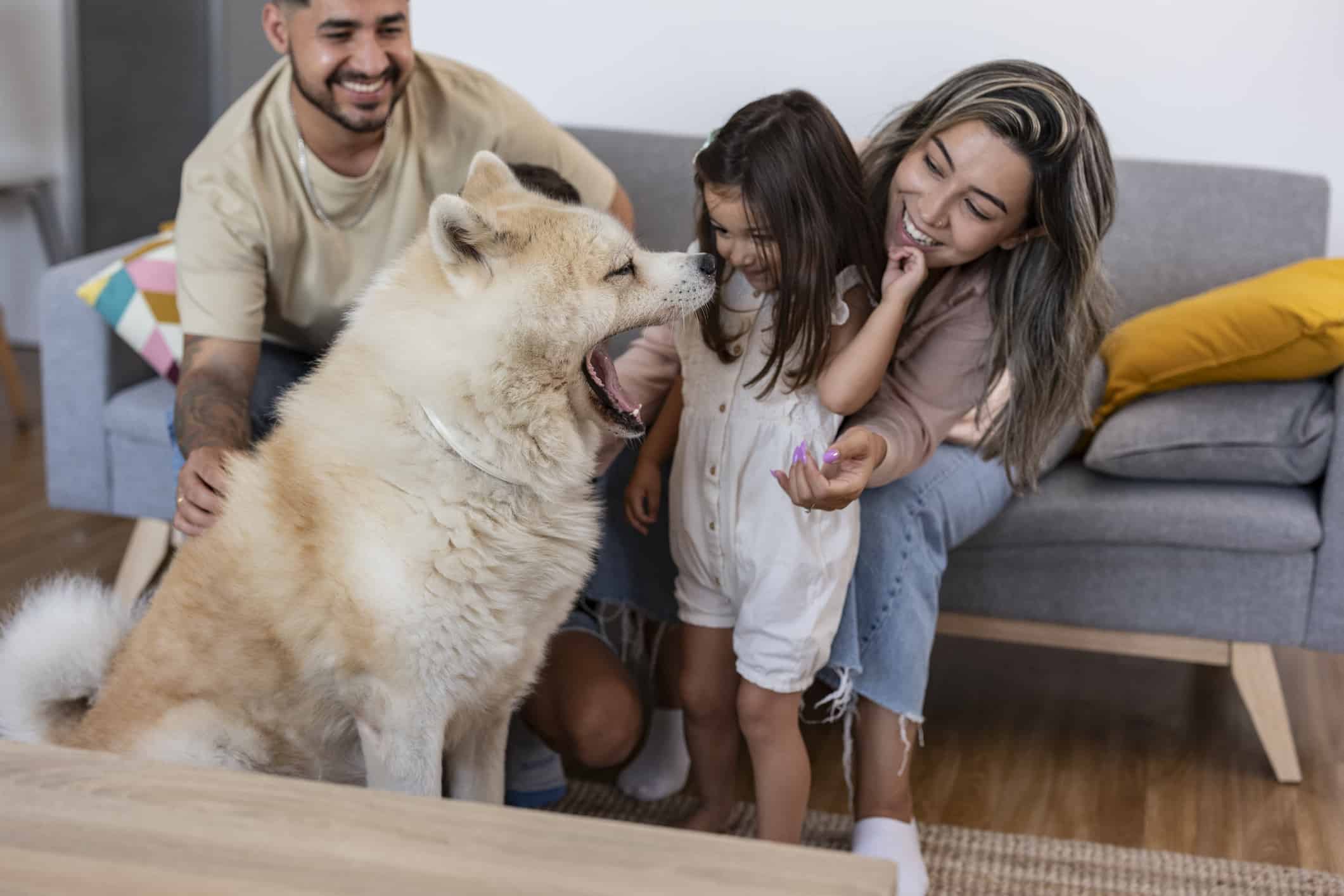 The Complete Guide to Adopting a Rescue Dog