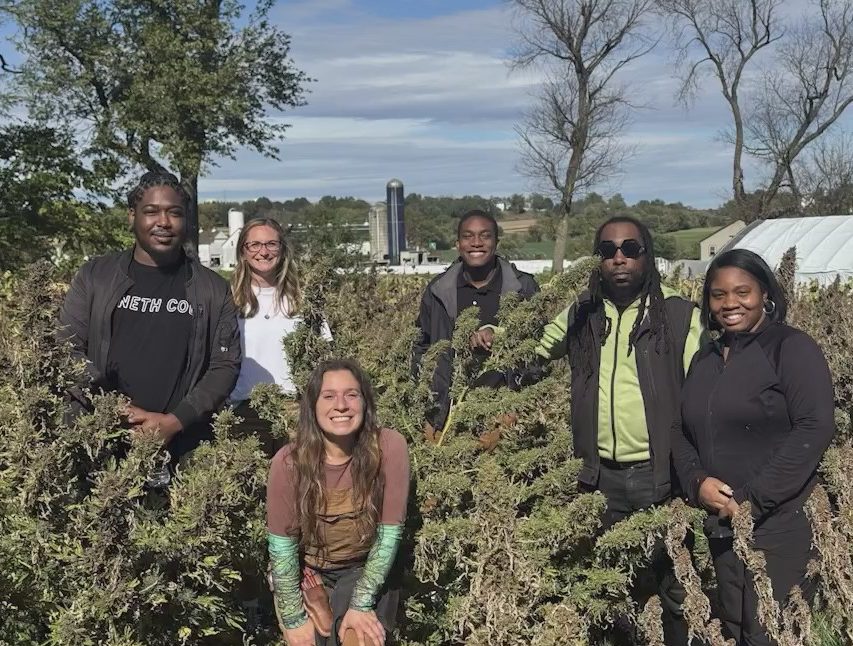 Pennsylvania growers say federal budget threatens to destroy hemp industry