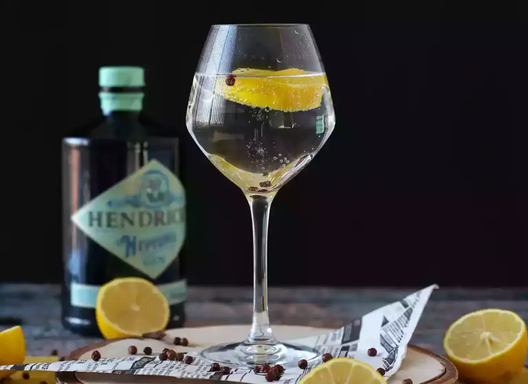 Gin tonic, easy and quick cocktail recipe