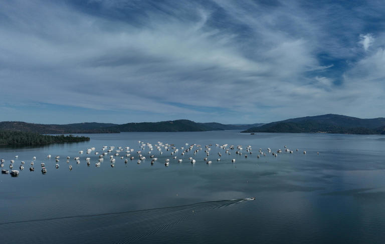 How much water is in Lake Shasta, California reservoirs in 2026?