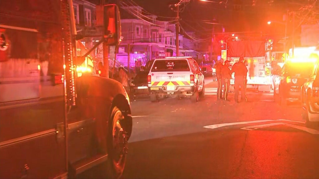 2 dead, 9 displaced in Trenton, New Jersey house fire, police said