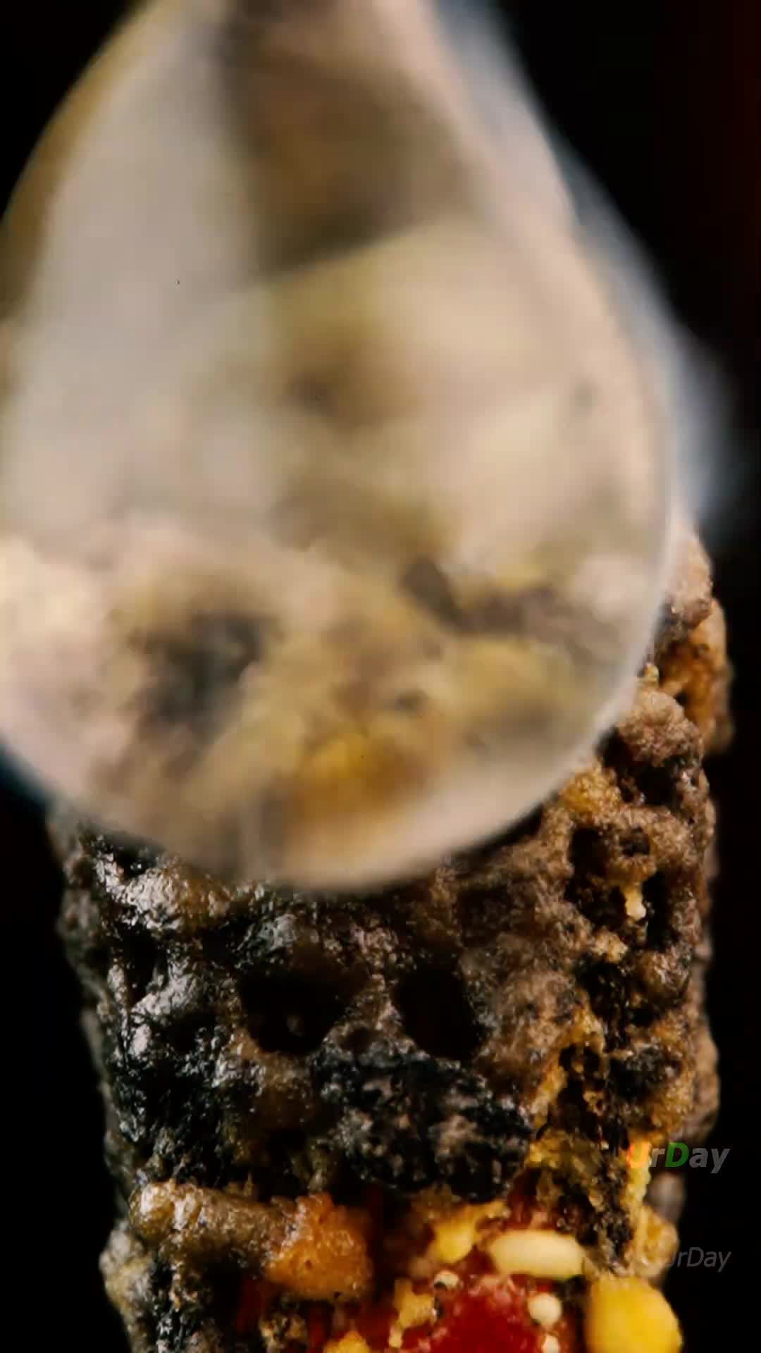 Droplets on a burning match #urday #macro #satisfying