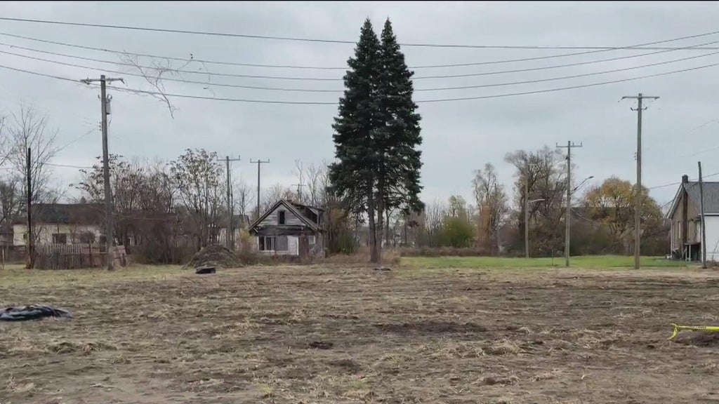 Detroit nonprofit working with environmental group to transform vacant ...