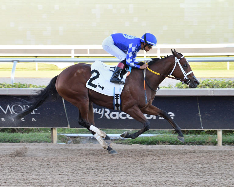 Racetrack Roundup: Skippylongstocking Back On Work Tab, Aimed For ...