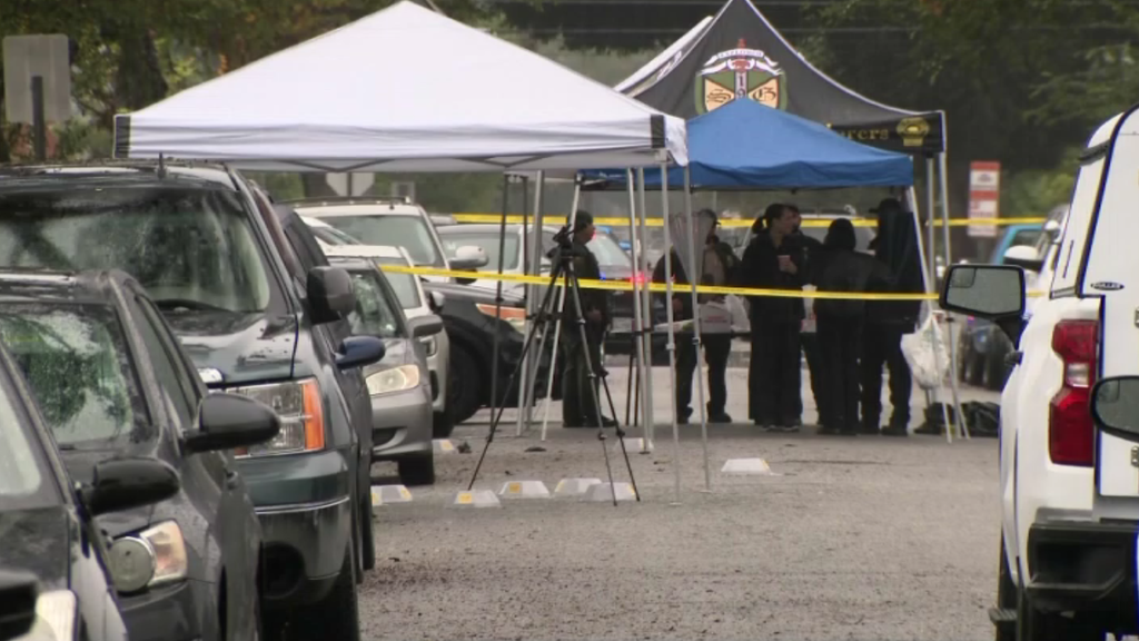 3 dead, 1 wounded after domestic violence incident and shooting in ...