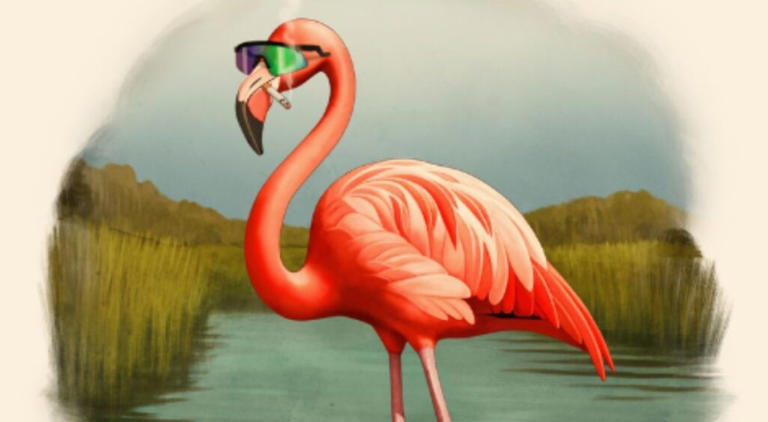 It’s Florida, Man Season 2 Shares Every Episode Synopsis Ahead of ...