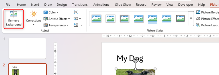 How to remove picture backgrounds in Microsoft PowerPoint
