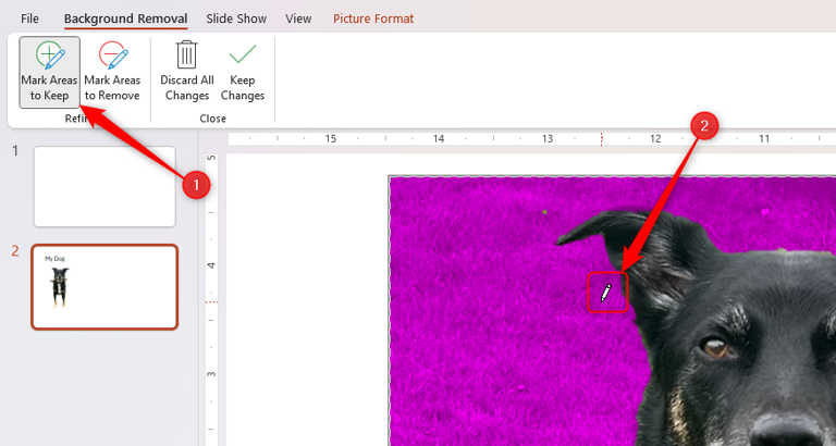 How to remove picture backgrounds in Microsoft PowerPoint
