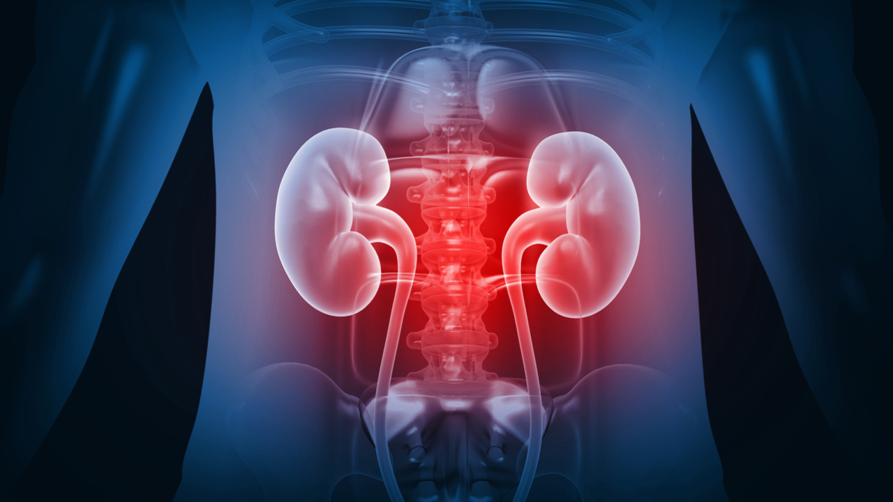Breakthrough In Kidney Health: Researchers Report A ‘Simple’ Method To ...