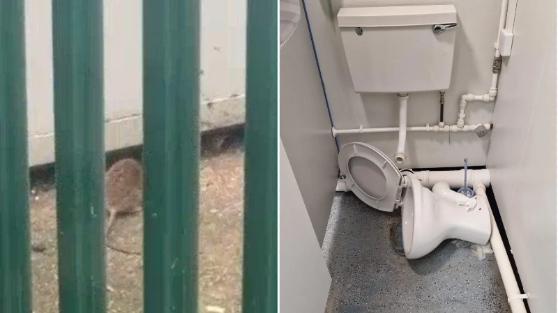 Rats as ‘big as cats’ and leaking sewage filmed at ex-RAF base housing ...