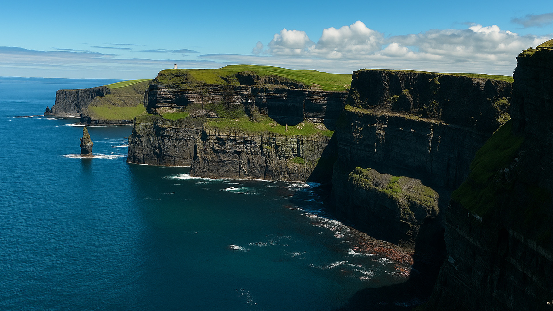 Standing Tall by the Sea