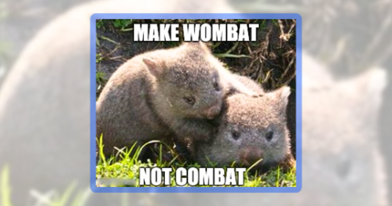 25 Adorable Australian Animal Memes to Keep Your Heart as Warm as the ...