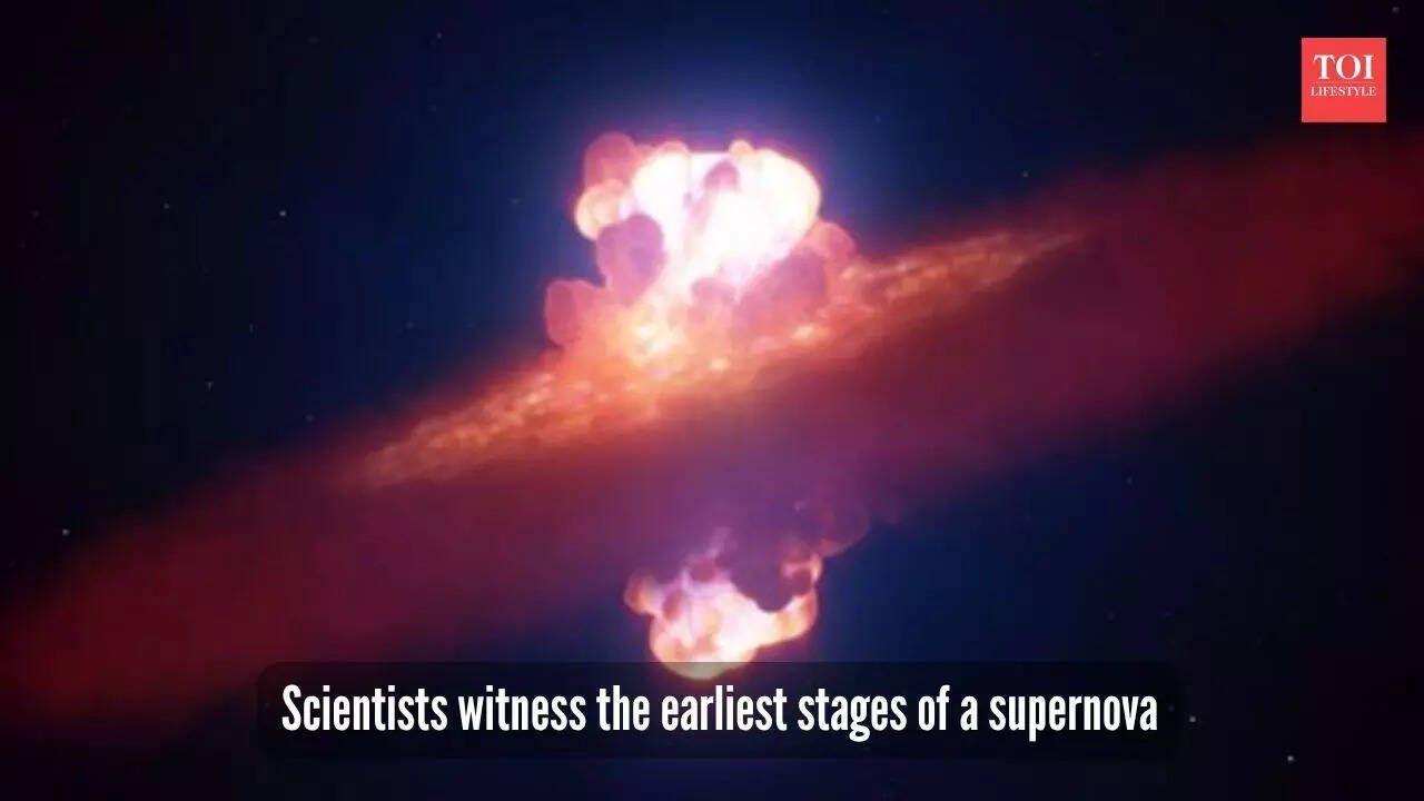 Supernova with a disk of dust: First-ever glimpse of a dying star's ...