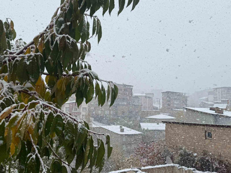 Hakkari’de mevsimin ilk karı yağdı