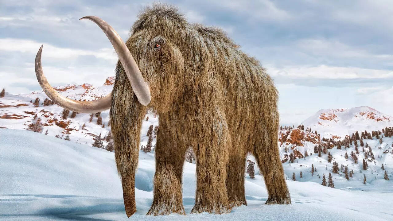 How 39,000-year-old ancient RNA from a mammoth found in Siberia reveals ...