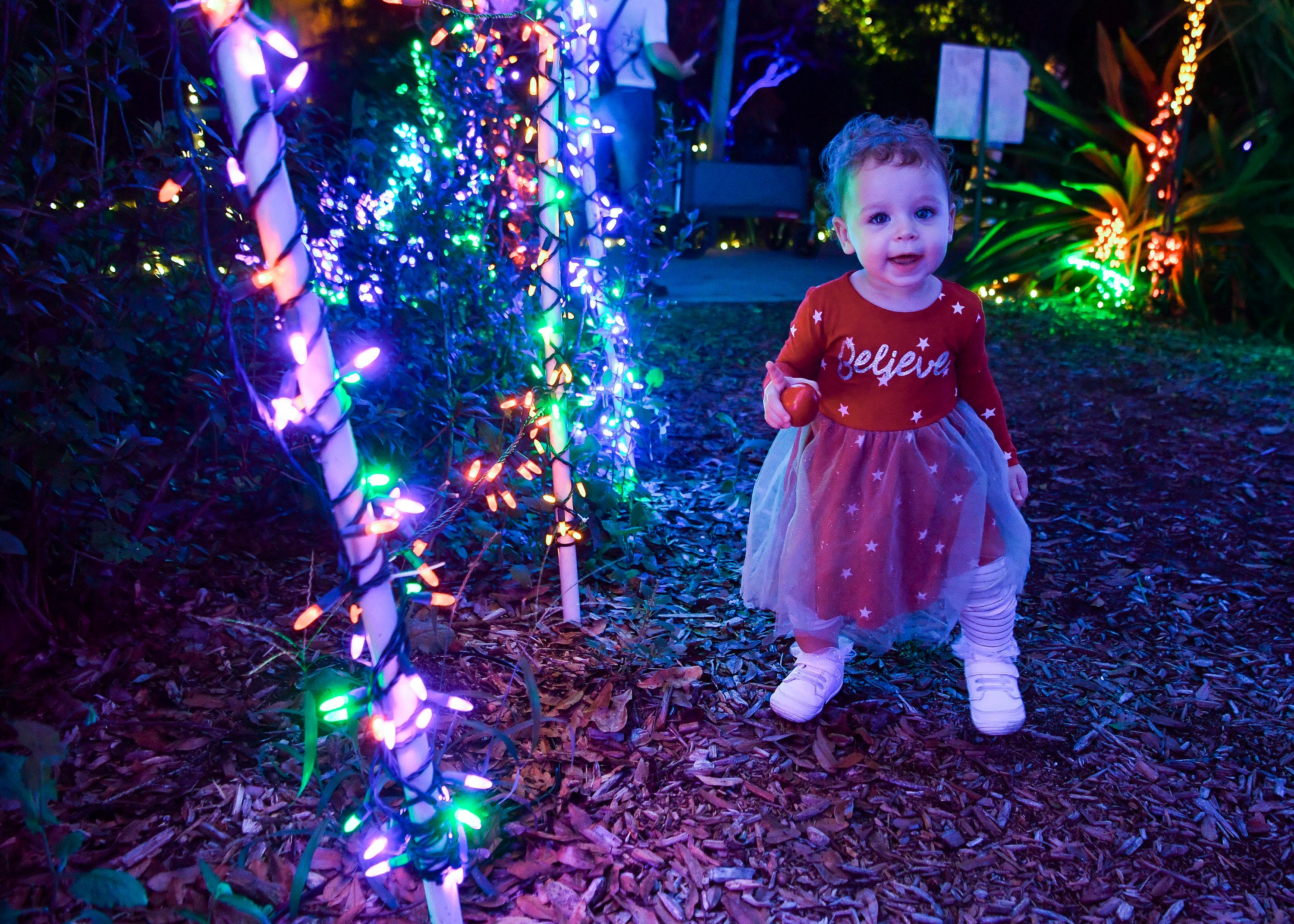 Here are 5 of the best public displays of Christmas lights on the ...