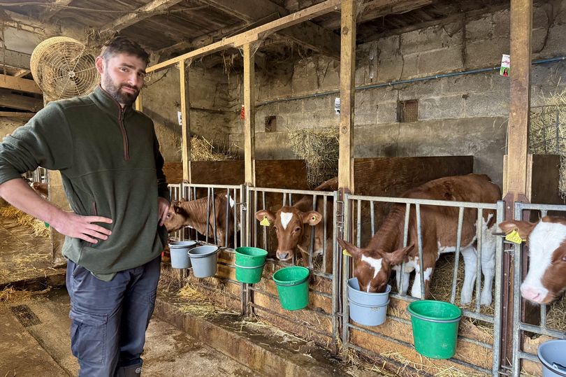 'People pay more for water than milk' - Inside Huddersfield family farm ...