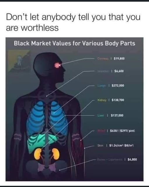 25 Clever Memes for Smart People, You Wouldn’t Get It