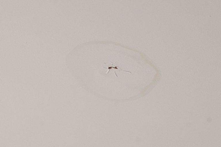 Bilston mum's 'daily hell' after cowboy builder left rain pouring ...