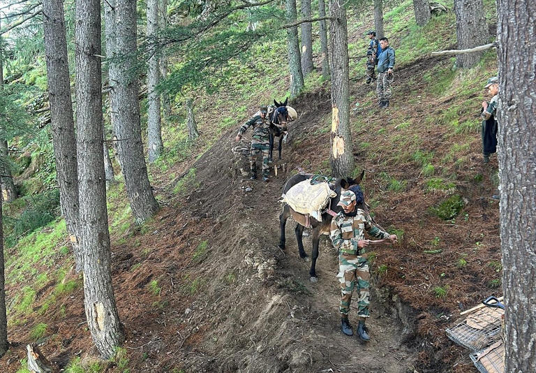 Army’s Animal Transport Units to stay