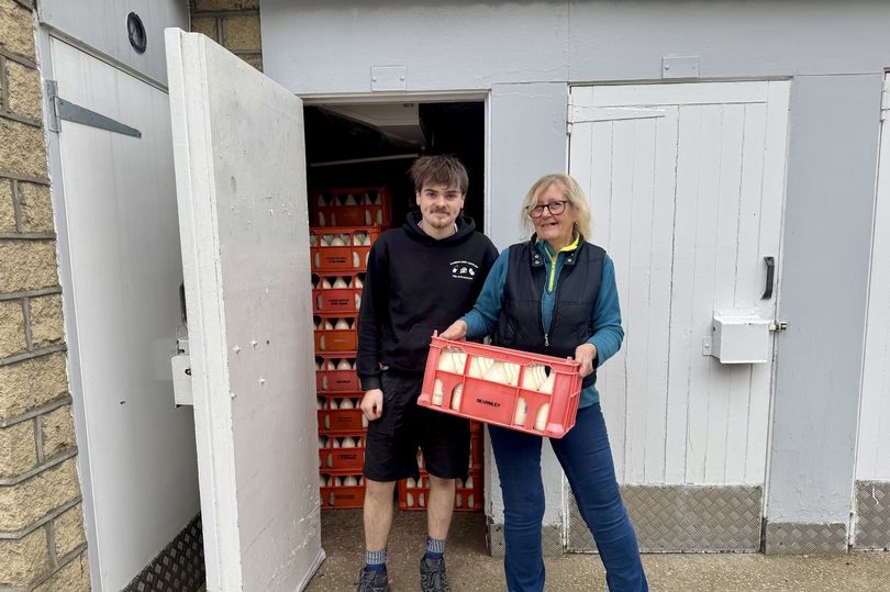 'People pay more for water than milk' - Inside Huddersfield family farm ...