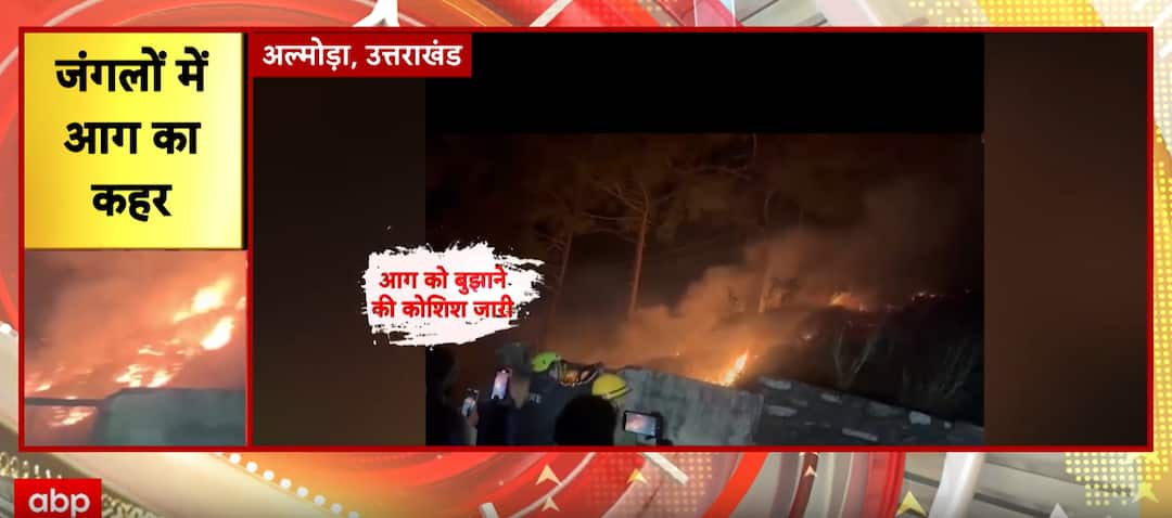 Breaking News: Sudden Fire in Almora Forest Sparks Major Environmental ...
