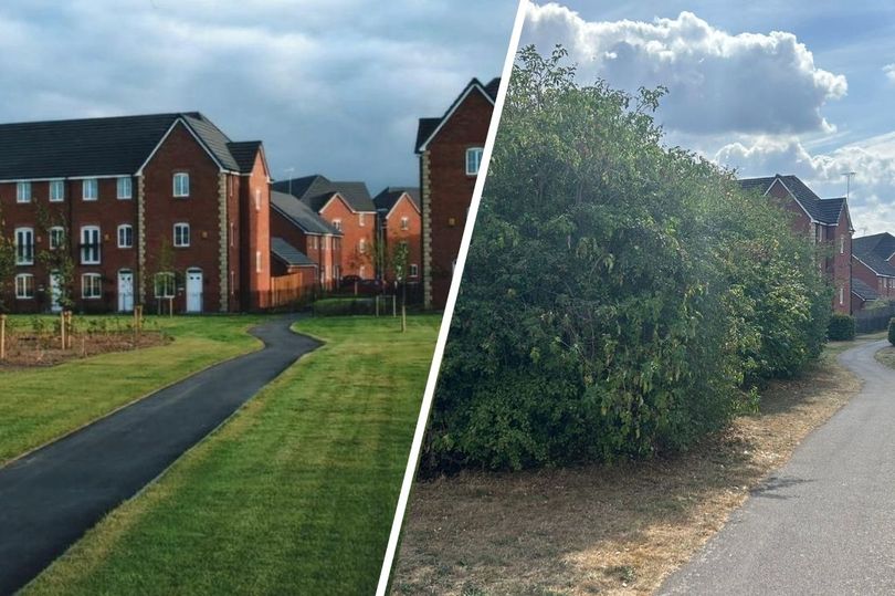 Persimmon estate roads still not adopted FIFTEEN years after homes built