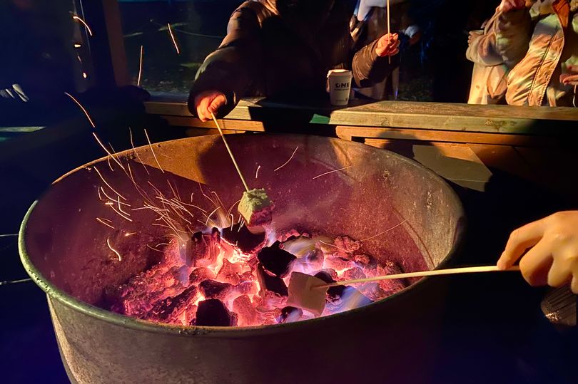 Surrey farm to become festive wonderland with fairy lit barns and ...