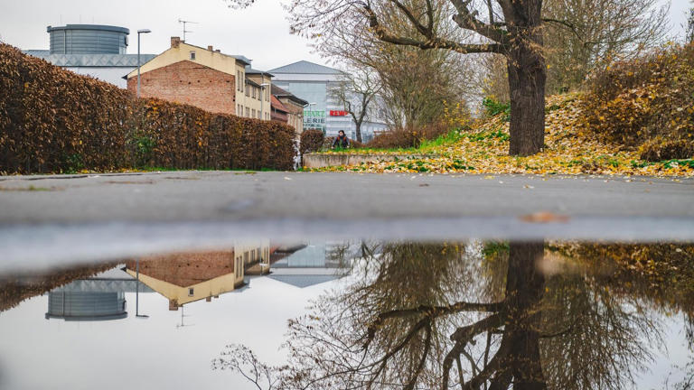Nordhausen: Nachrichten aus der Stadt und dem Südharz