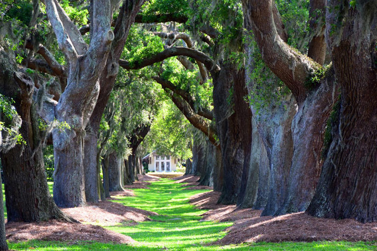 9 best coastal towns in the US for retirees