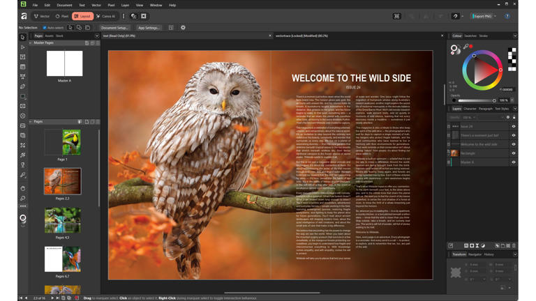 The 6 best InDesign alternatives