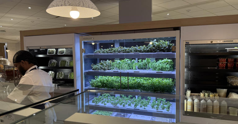 Inside Ford's new world headquarters: Scratch kitchens, rotisserie ...