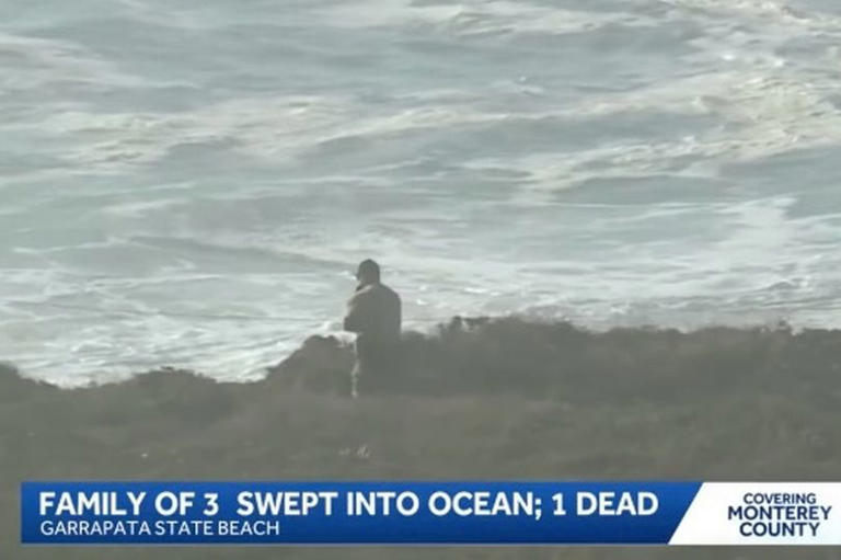 Hero dad dies trying to rescue daughter, 5, as she was swept away by ...