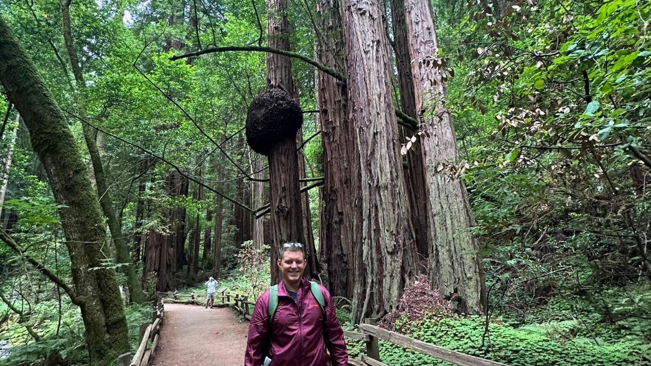 5 Reasons Muir Woods National Monument Left Us in Awe