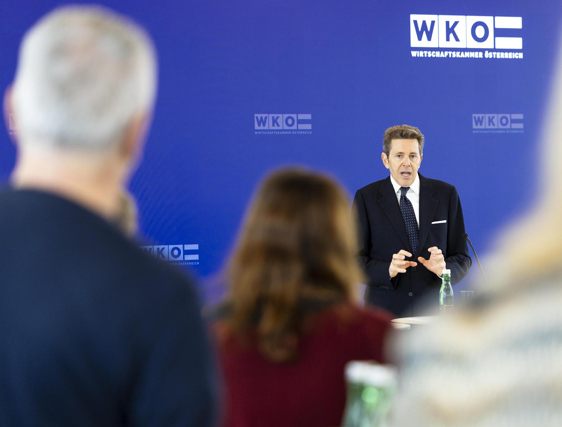 Mitreden nach dem Mahrer-Rücktritt: Brauchen wir die WKO noch in dieser ...