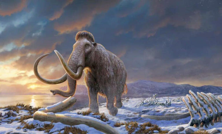 World’s Oldest RNA Resurrected From a Mammoth Frozen for 39,000 Years